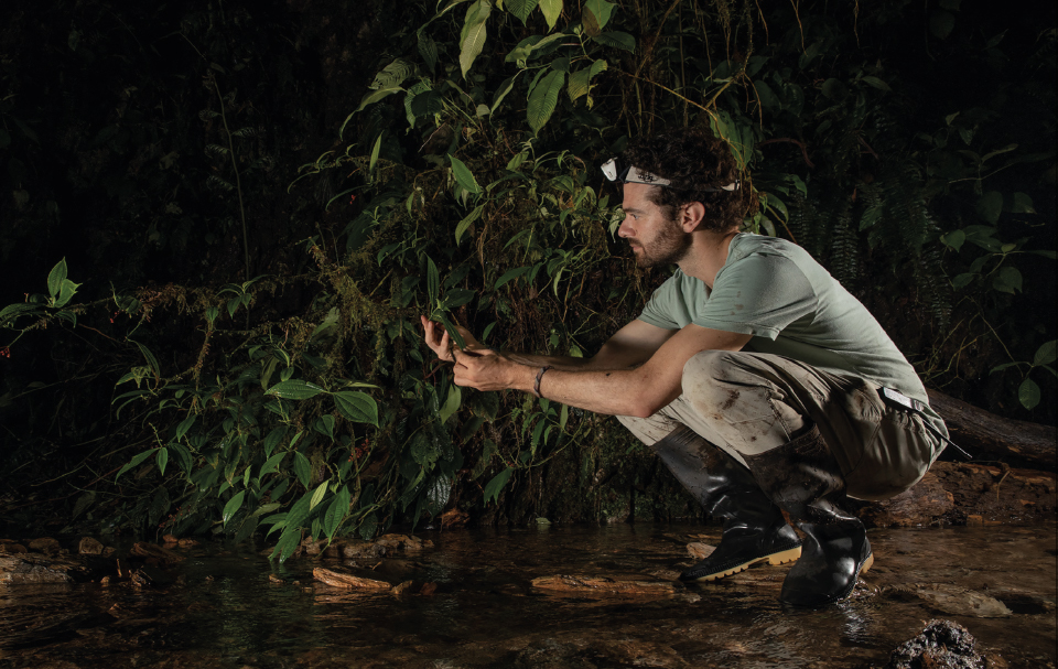 Research and Biology at Mashpi Lodge | An Unique Experience